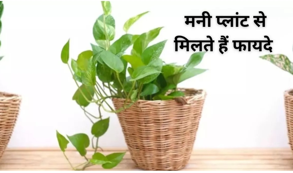 AIMA Media - Latest News in Hindi, Latest News Today, All India Media ...